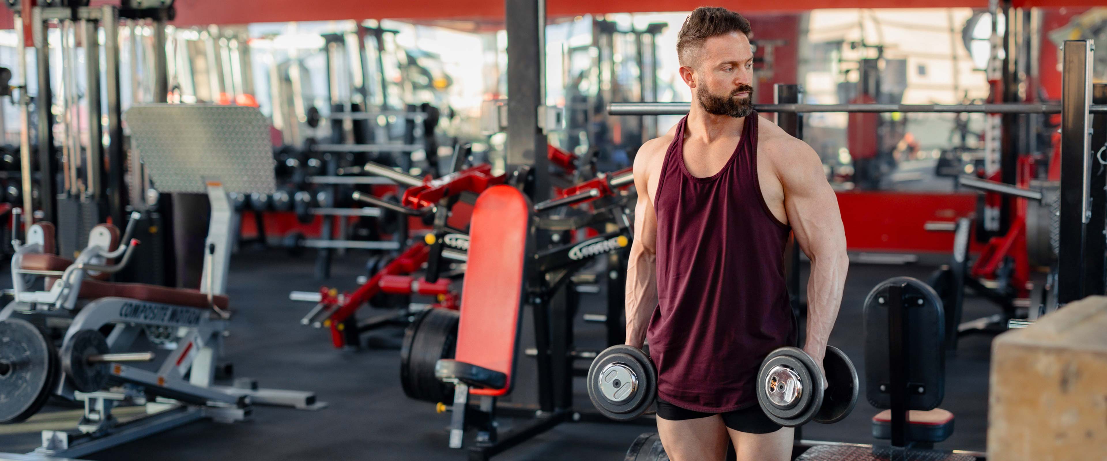 Turn Holiday Treats Into Gains with Smart Carb Use – SteelFit USA