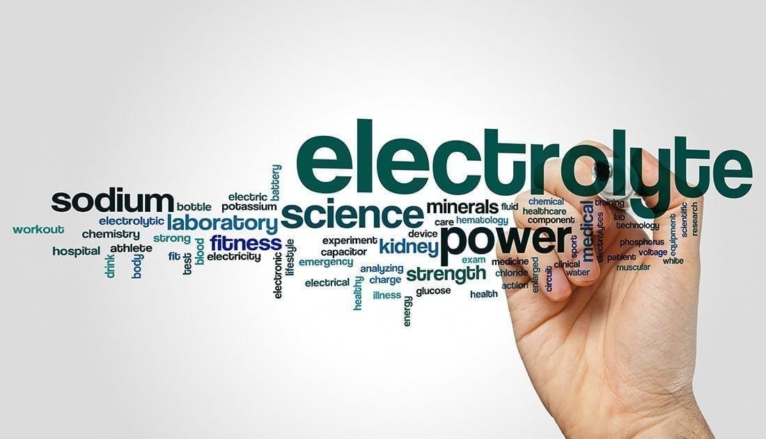 What is the Role of Electrolytes in the Human Body? – SteelFit USA